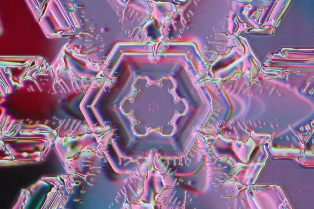 Articles on Science Photography - SciencePhotography.com